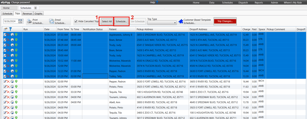 How Do I Schedule Trips in Bulk Using Batch Scheduling in MediRoutes?